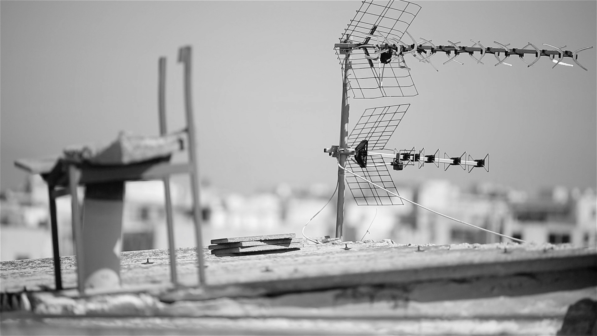 Shift Key: David Hartt - Museum of Contemporary Art Toronto