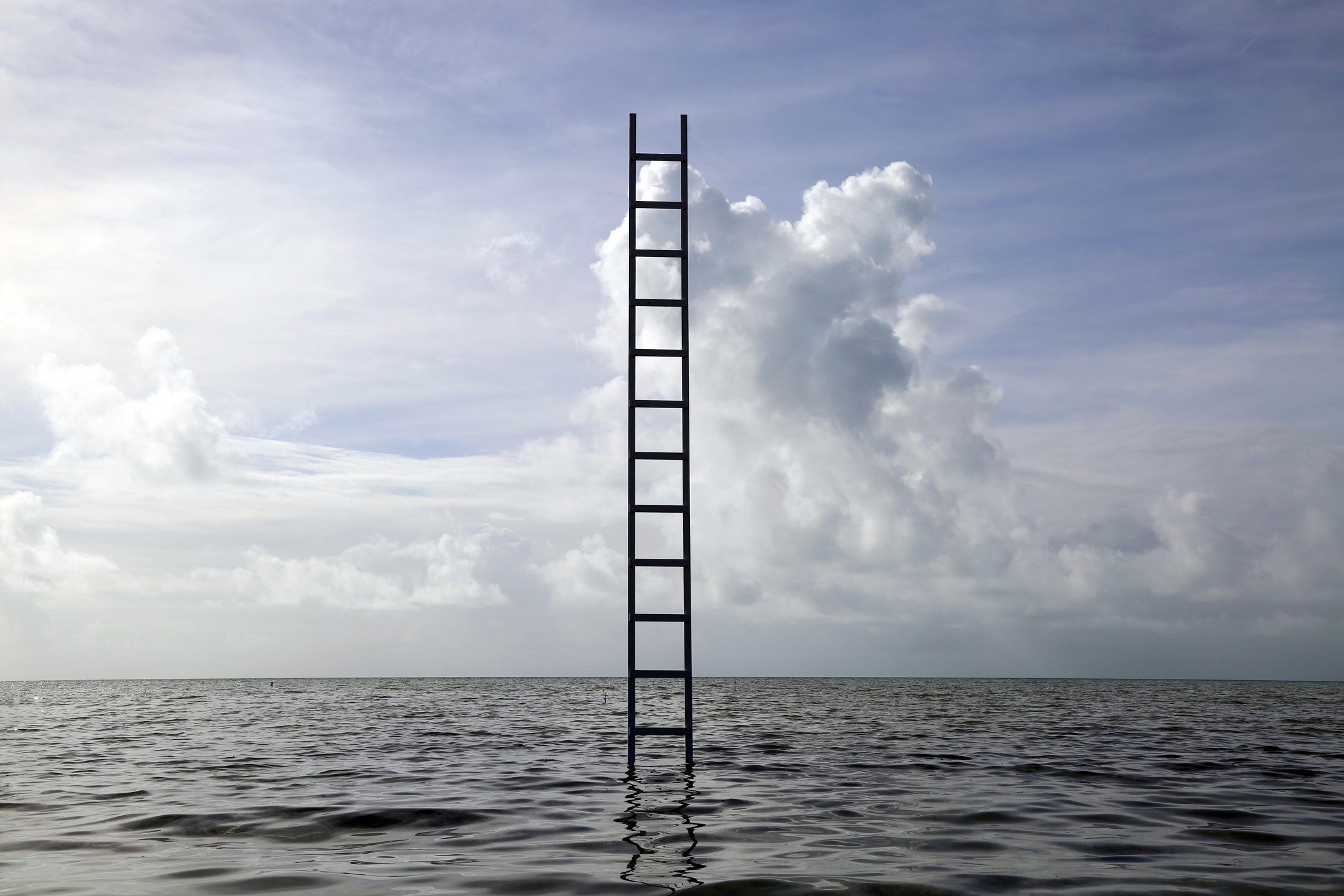 Greater Toronto Art 2021: Kara Springer - Museum of Contemporary Art ...