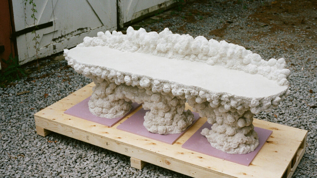 Carlos Bunga 2020 - Museum of Contemporary Art Toronto