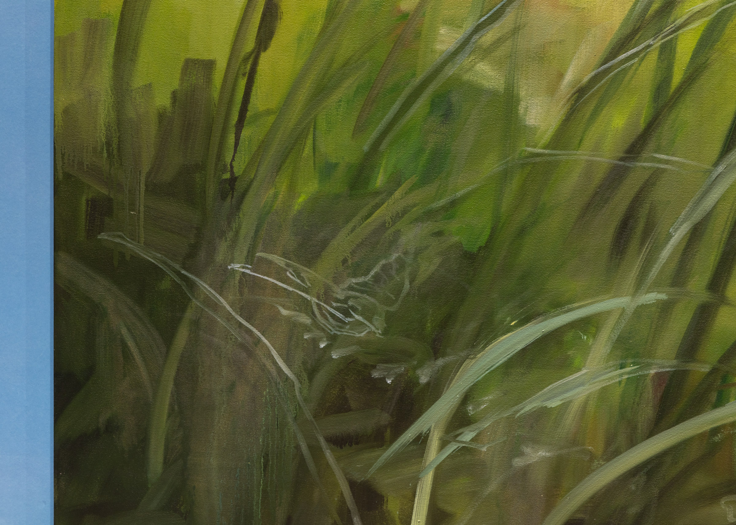 Emmanuel Osahor - Museum of Contemporary Art Toronto