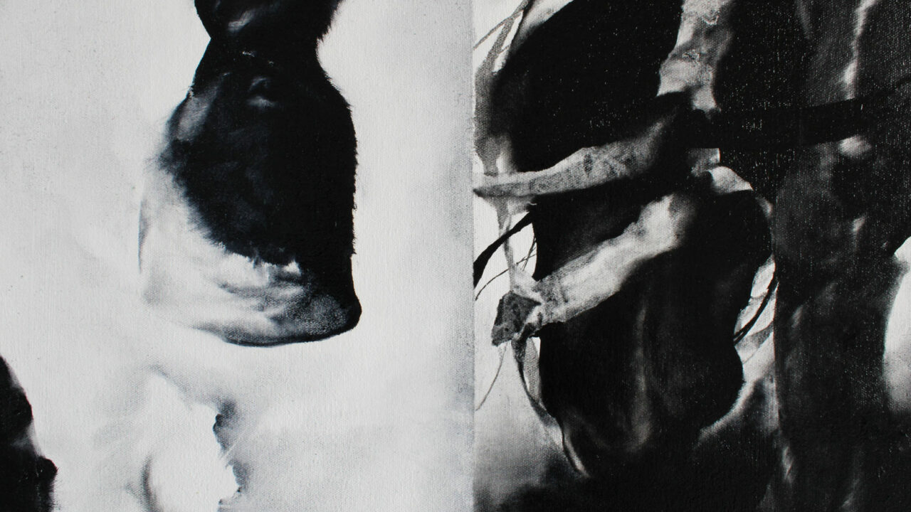 Age of You Exhibition 2019 - Museum of Contemporary Art Toronto